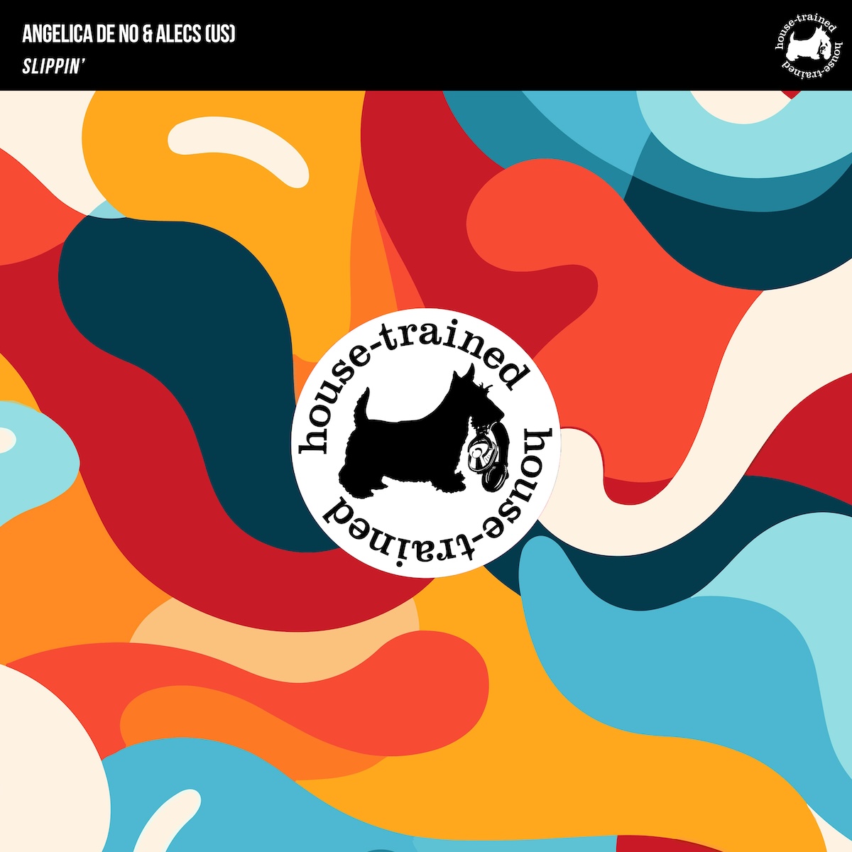 Angelica de No & Alecs (US) ‘Slippin’’ House Trained - DMC World Magazine